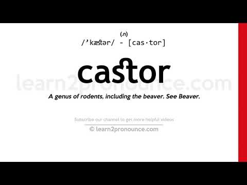 Pronunciation of Castor | Definition of Castor