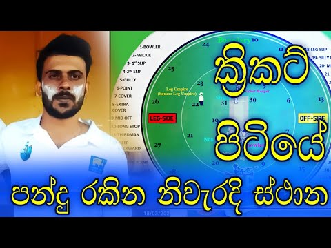 Cricket Fielding Positions Every Position Explained | Kandegedara Cricket Club