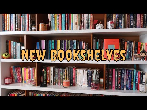 Building and Organizing My New Bookshelves