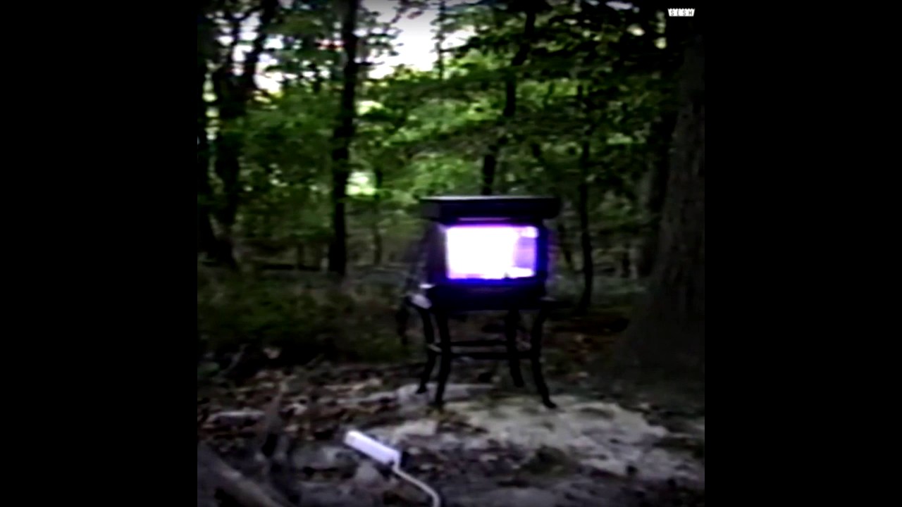 Bones - Branches (Extended)