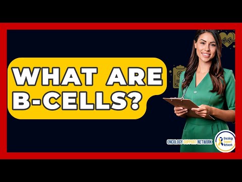What Are B-cells? - Oncology Support Network