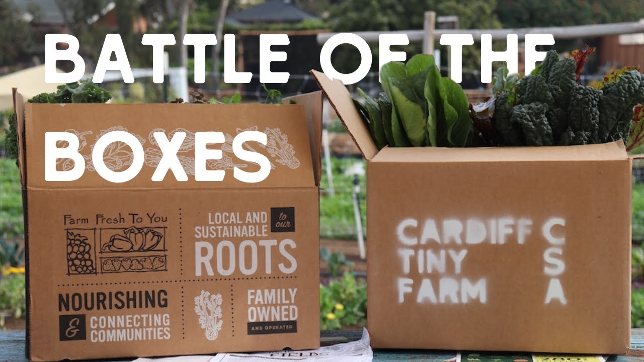 Our CSA Box vs Farm Fresh To You (Is Local Worth It?)