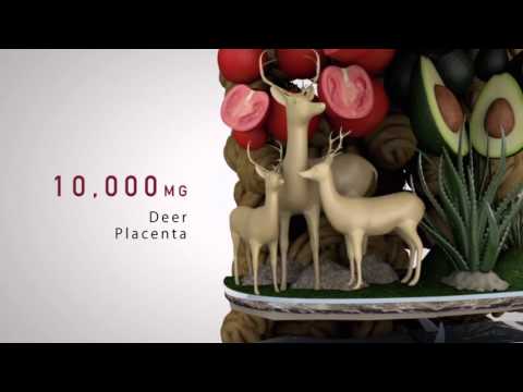 PURTIER-- LIVE STEM CELL THERAPY Product English Version 5
