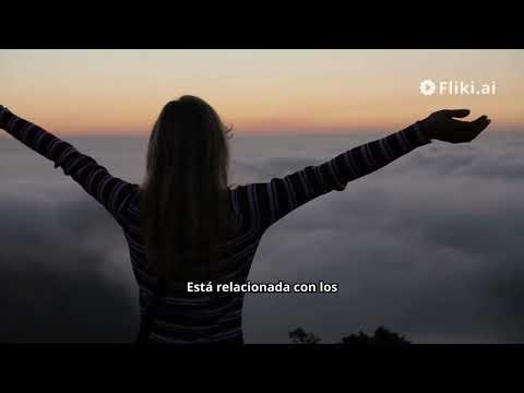 Las Dimensiones del Ser Humano