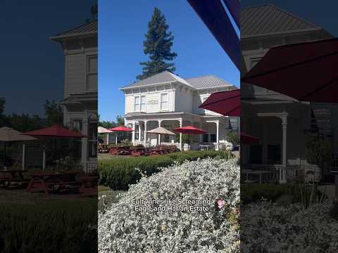 A great place for trying wines in Napa #napavalley #wine #shorts