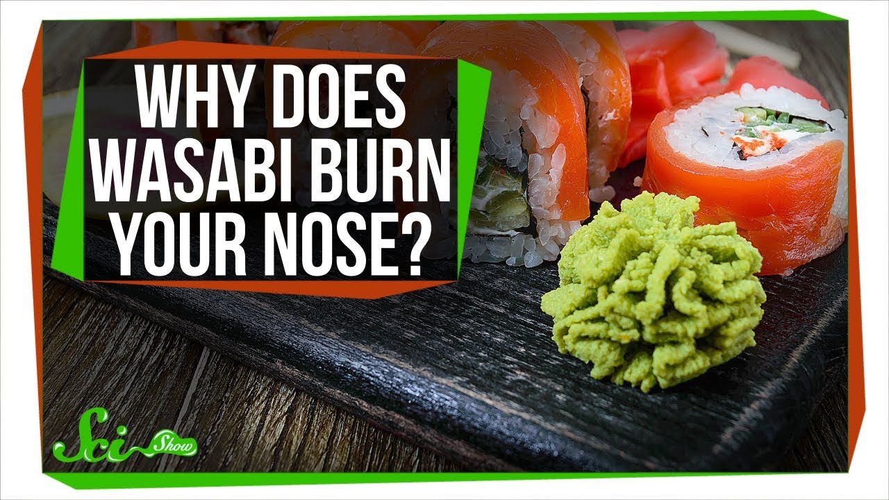 Why Does Wasabi Burn Your Nose?