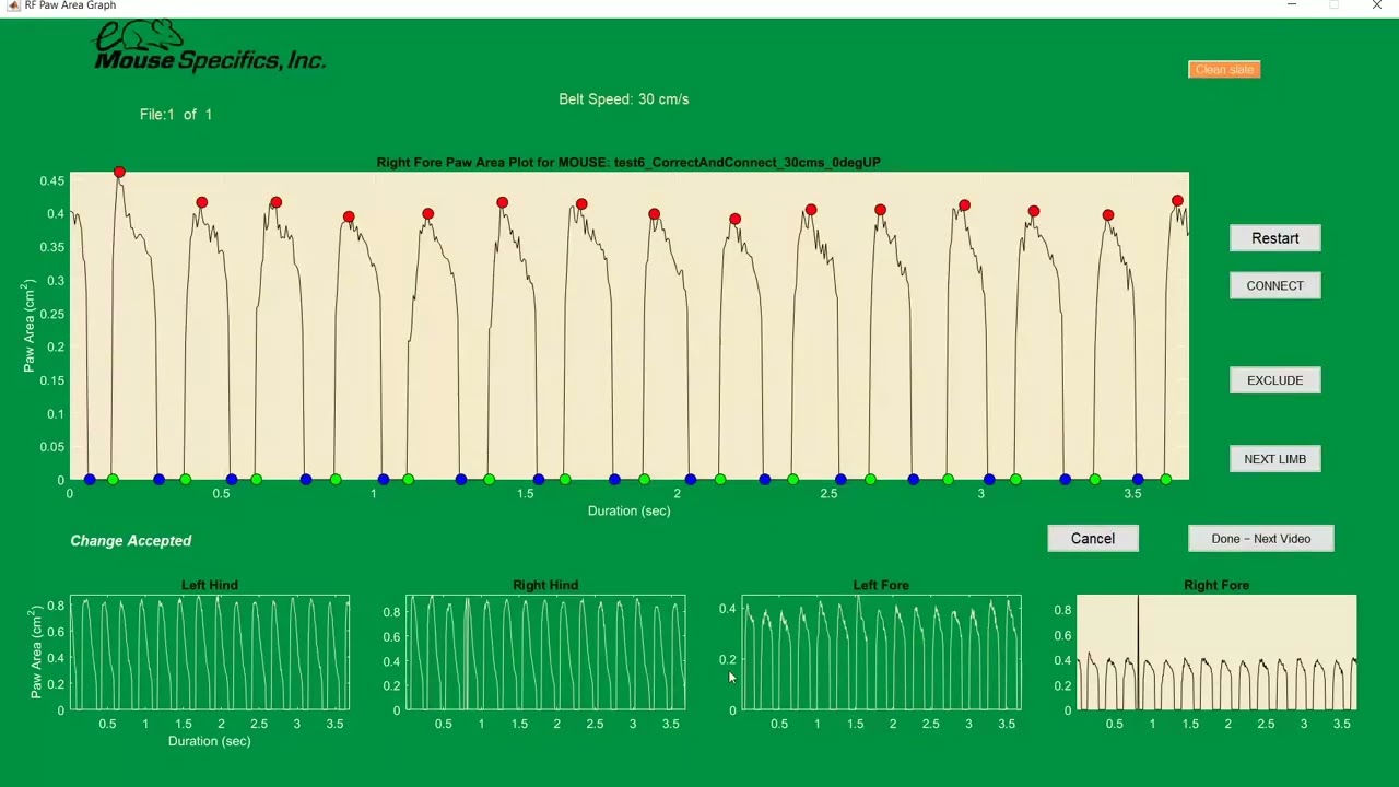 DigiGait Analysis: Correct