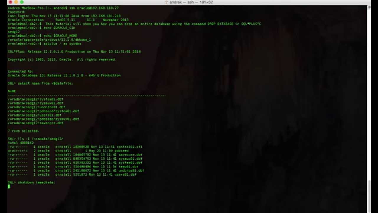 Oracle Drop database