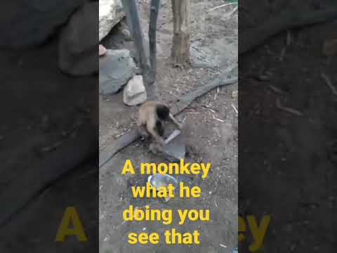 Just amazing work #viral #video #funnyvideo #funnmoments #fabrics #mollyanddaisy