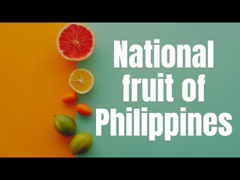what is the national fruit of Philippines? #14