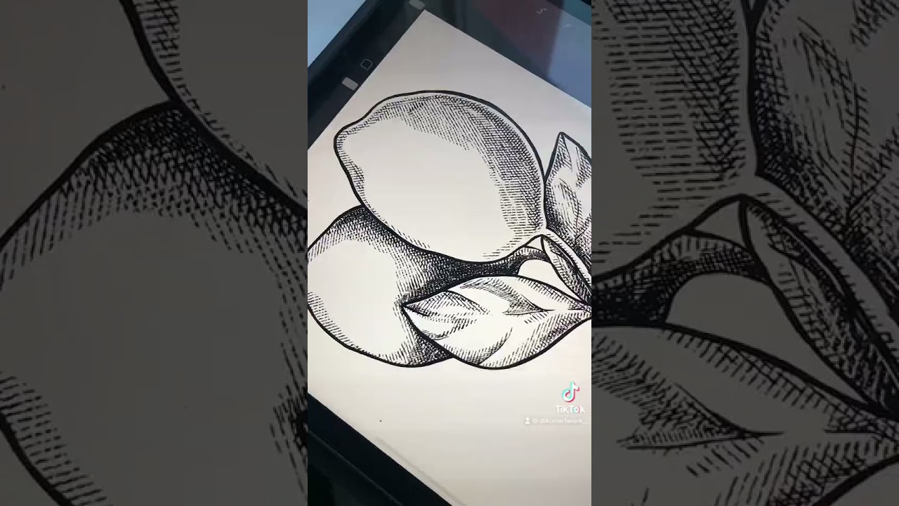 Make an Engraving Illustration