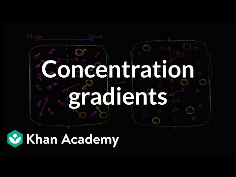 Concentration gradients | Membranes and transport | Biology | Khan Academy