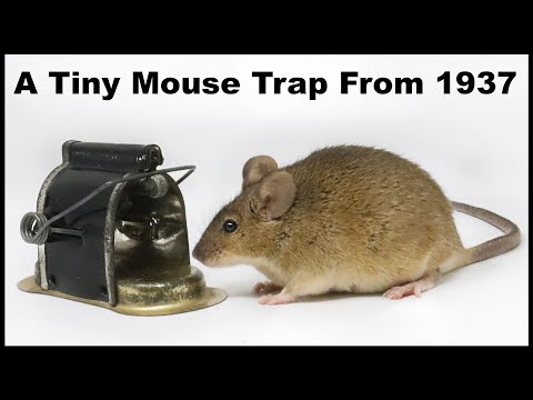 One of my all time favorite mouse traps from 1937. The Baited Mouse Trap. Mousetrap Monday