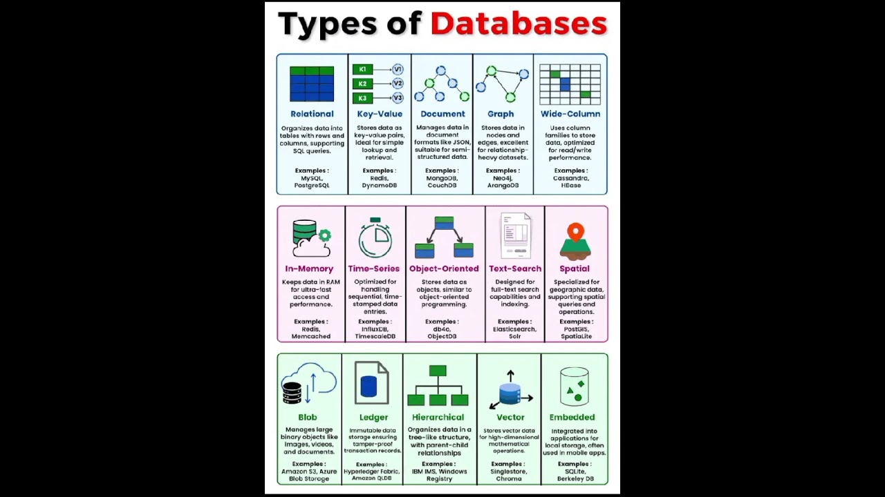 types of database #education #database #data #types #information #sql #coding #viralreels #shorts
