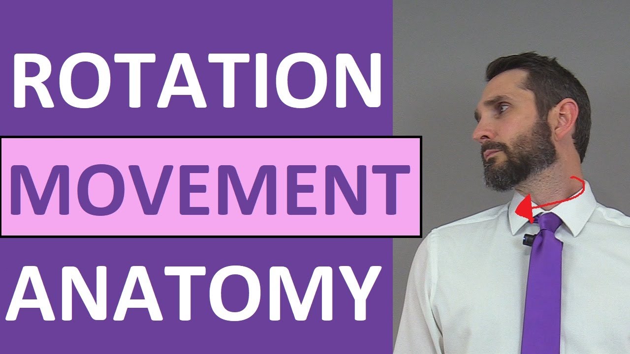 Rotation Anatomy Body Movement Term | Arm, Thigh, Head, Spine Rotation