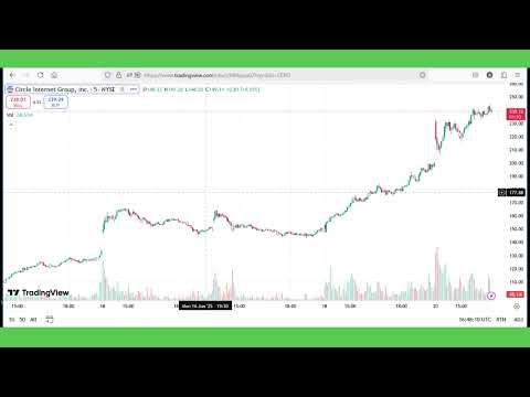 CRCL Stock IPO Review