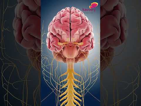 What is Multiple Sclerosis? | Kauvery Hospital Chennai | Tamil Shorts