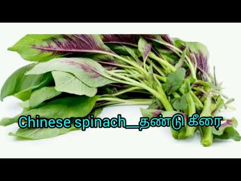 spinach Names In Tamil and English