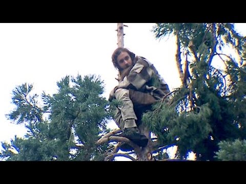 Seattle's #ManInTree Becomes a Huge Meme | What's Trending Now