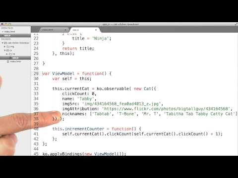 Learn Getting Ready To Add More Cats JavaScript Design Patterns - Mind Luster