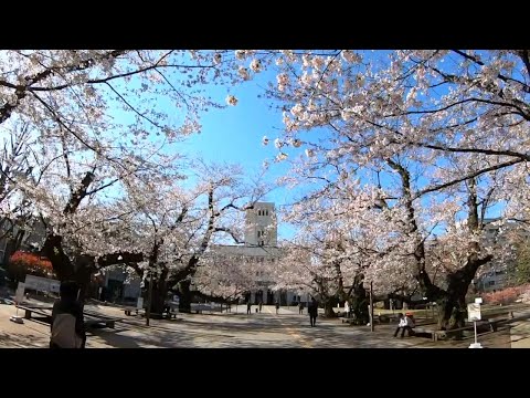 Tokyo Institute of Technology (Tokyo Tech) : Rankings, Fees & Courses ...