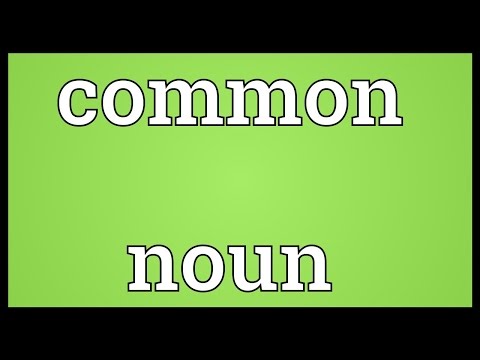 Common noun Meaning