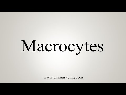 How To Say Macrocytes
