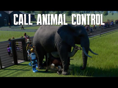 Can You Put EVERY ANIMAL Together in Planet Zoo?