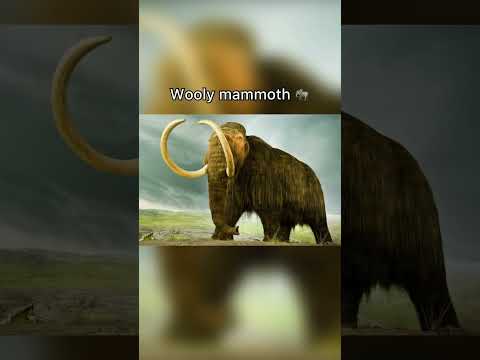 How extinct animals sounded like 💀🔊 #shorts