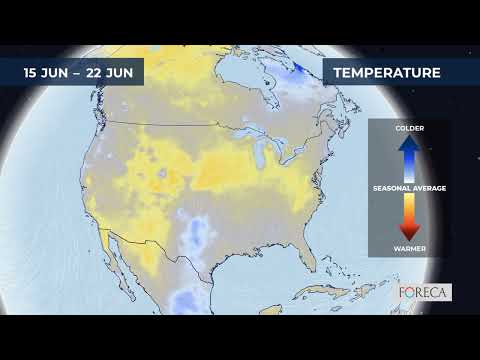 Monthly temperature forecast for the USA 6/8/2025