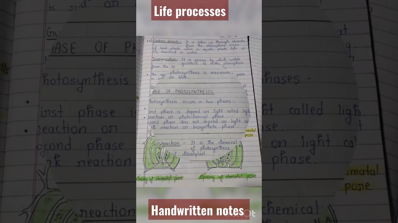 CHAPTER 1 | LIFE PROCESSES | CLASS 10 |HANDWRITTEN NOTES PART 1