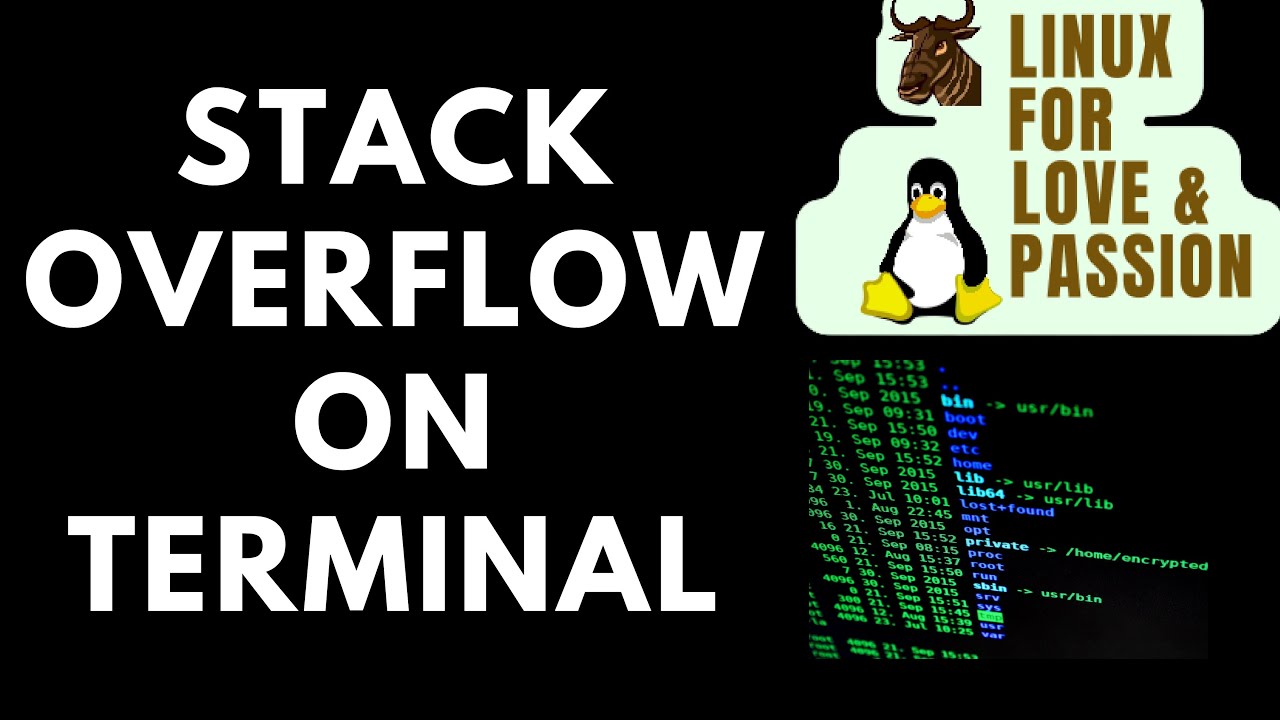 Stack Overflow on Terminal