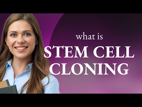 Understanding "Stem Cell Cloning" in Simple Terms