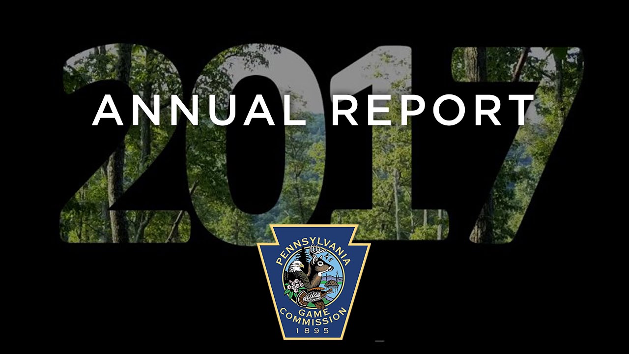 ANNUAL REPORT 2017