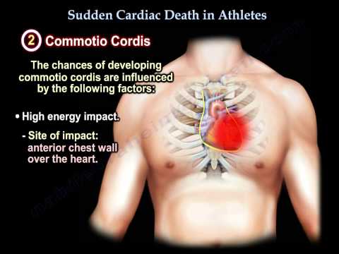 Heart Murmurs and Causes of Other Abnormal Heart Sounds – Healthy Skin ...
