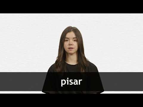 English Translation of “PISAR” | Collins Spanish-English Dictionary