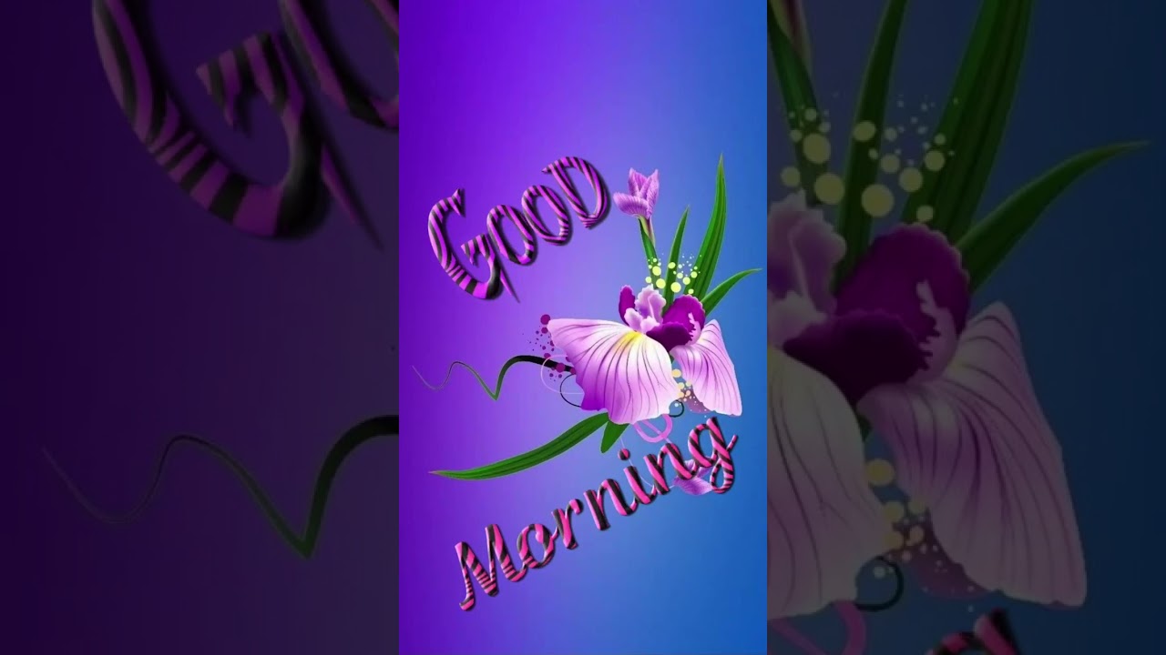 nice good morning gif animation
