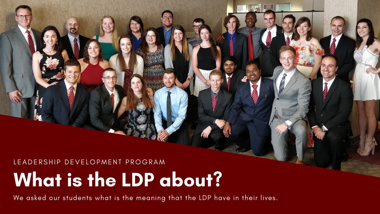 What is the LDP about?