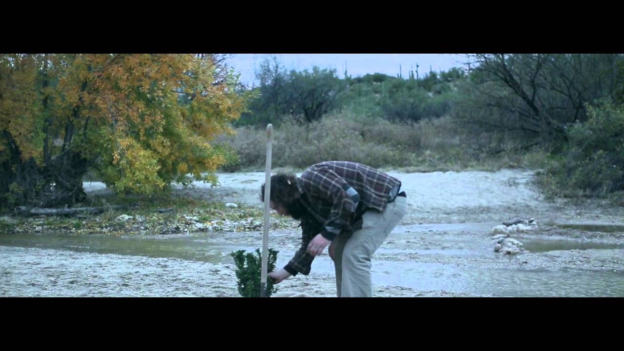 NORTH - Primal Bloom (official video)