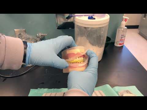 Modelling Wax at Best Price in India