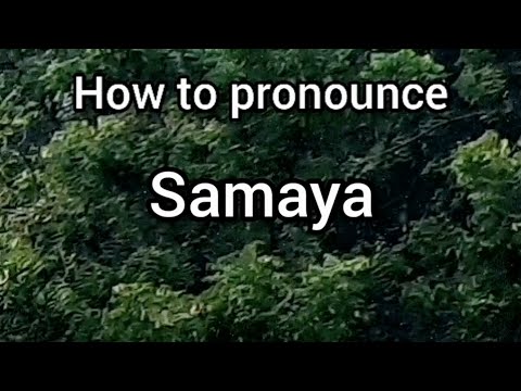 How to Pronounce Samaya
