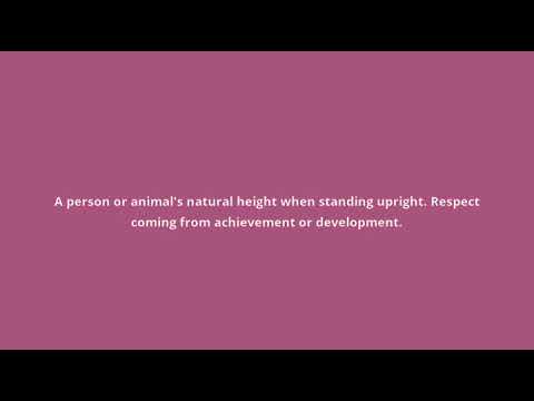 what is the meaning of stature