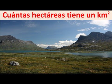 Cuantas hectareas tiene un kilometro cuadrado