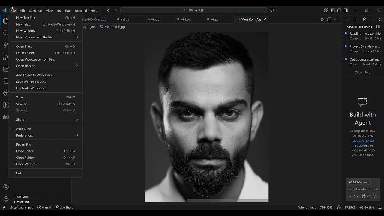 Create Images Using Only ASCII Characters in Python (No Libraries!) | Beginner Project