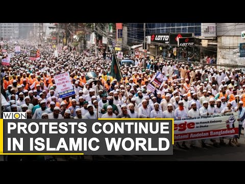 Protests continue in Islamic world against France over cartoon row | World News | WION News