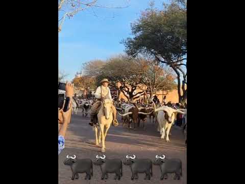 DESFILE EN Fort Worth Texas!!!ππππ