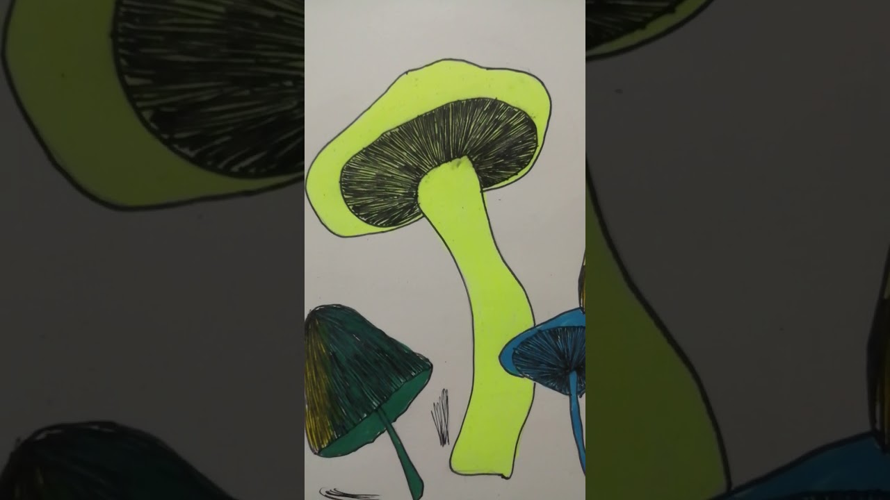 hey mushrooms#art#pattern #colour#hand#drawing#Brushpen#inbawrites#calligraphy#newyear#bye December
