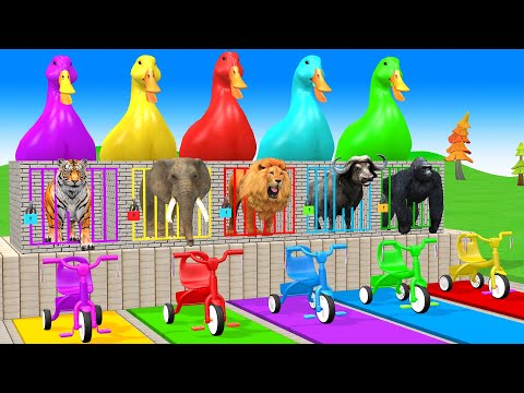 Long Slide Game With Elephant Gorilla Buffalo Lion Tiger 3d Animal Game Funny 3d Animals