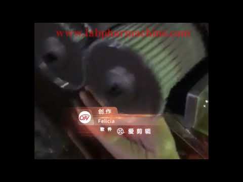 DZM-15 Automatic Chinese medicine pill making machine