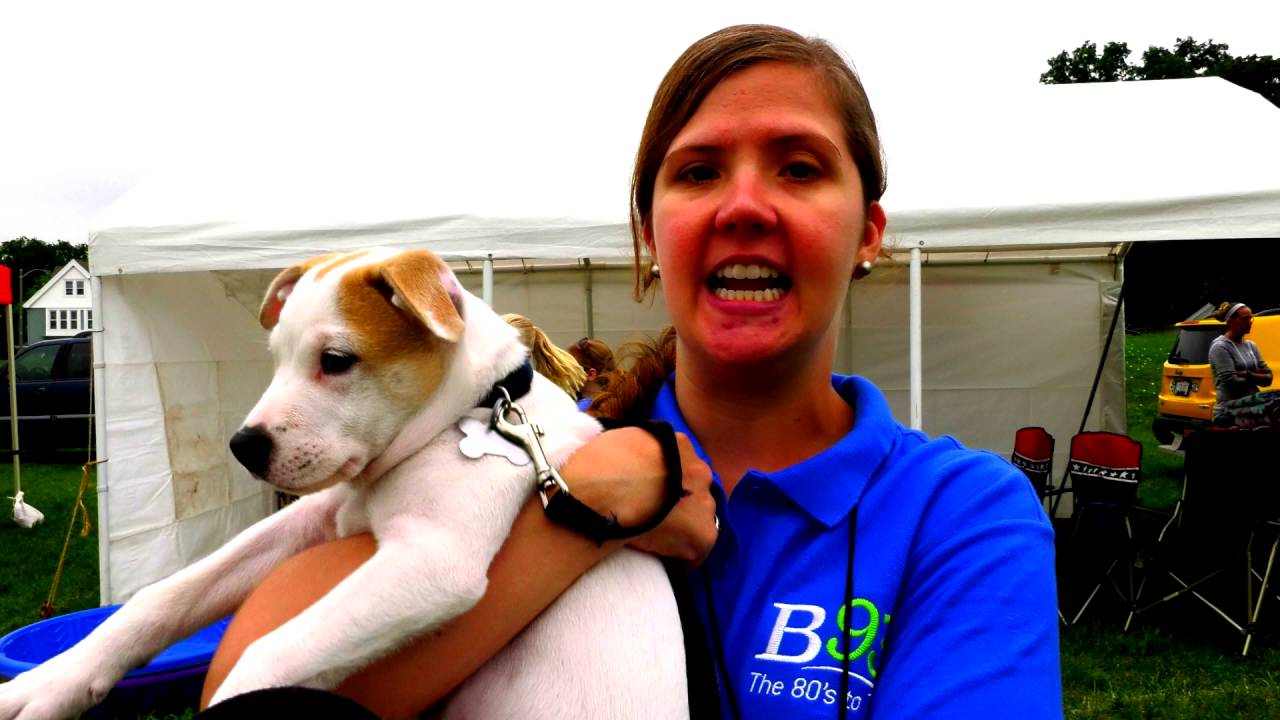 Hundreds of Dogs at the 1st Annual Bark N' Brew! | Hupy and Abraham, S.C.